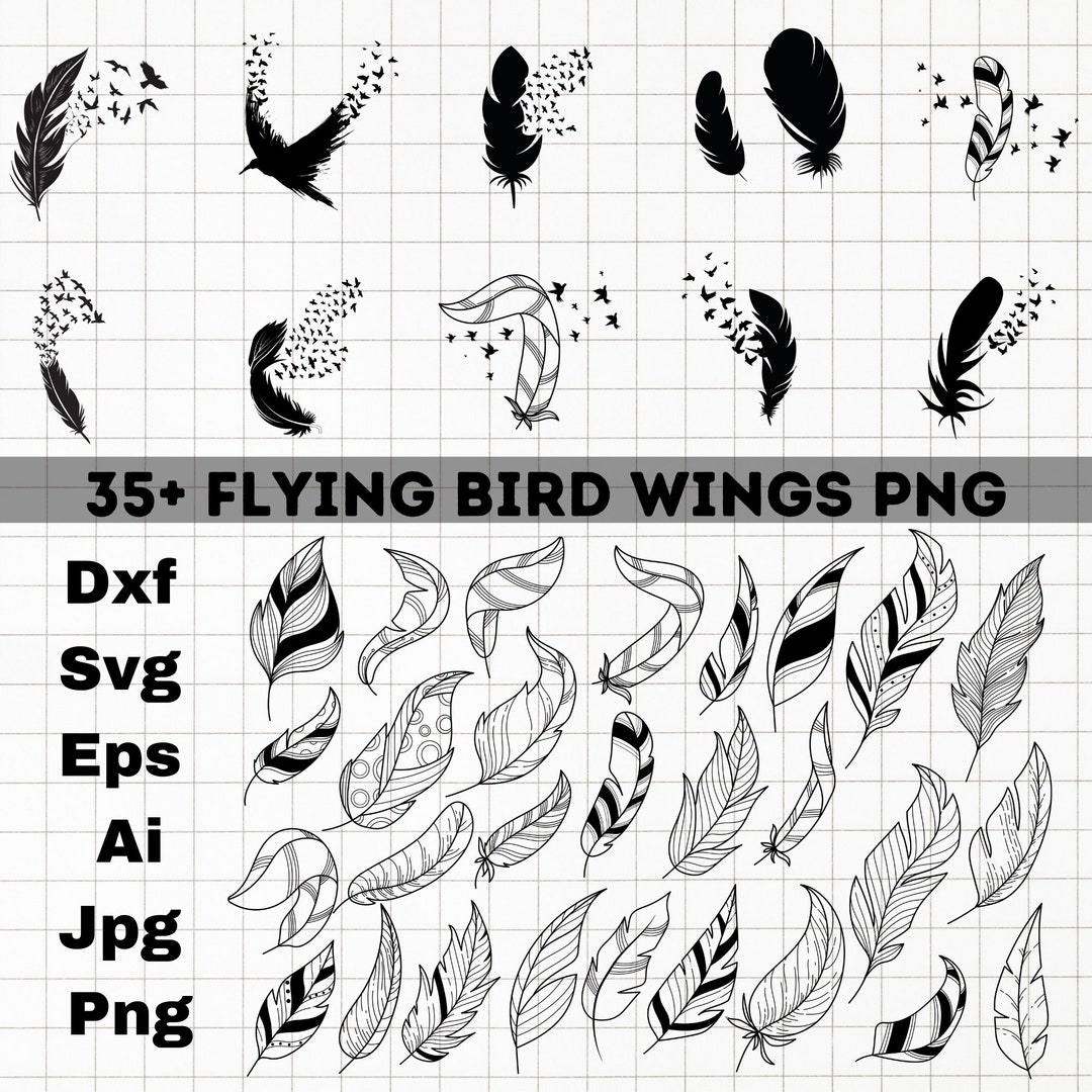 Feather Svg Bundle, Feather Birds Svg, Flying Birds Svg, Dxf, Png, Jpg ...