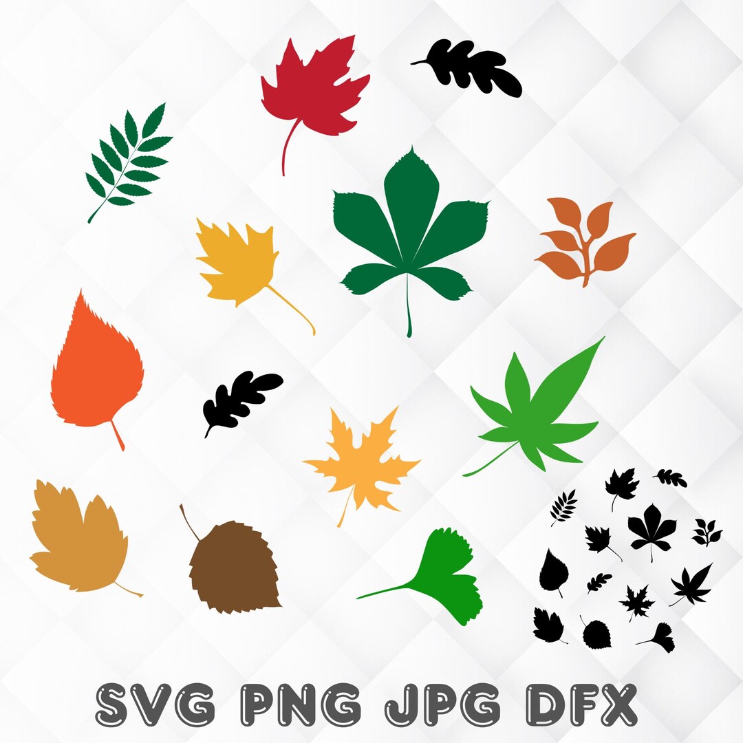 Fall Leaf Svg Bundle Fall Leaves Svg Cut Files for Cricut Silhouette ...