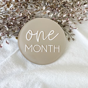 4" Acrylic Baby Monthly Milestone Signs - Etsy