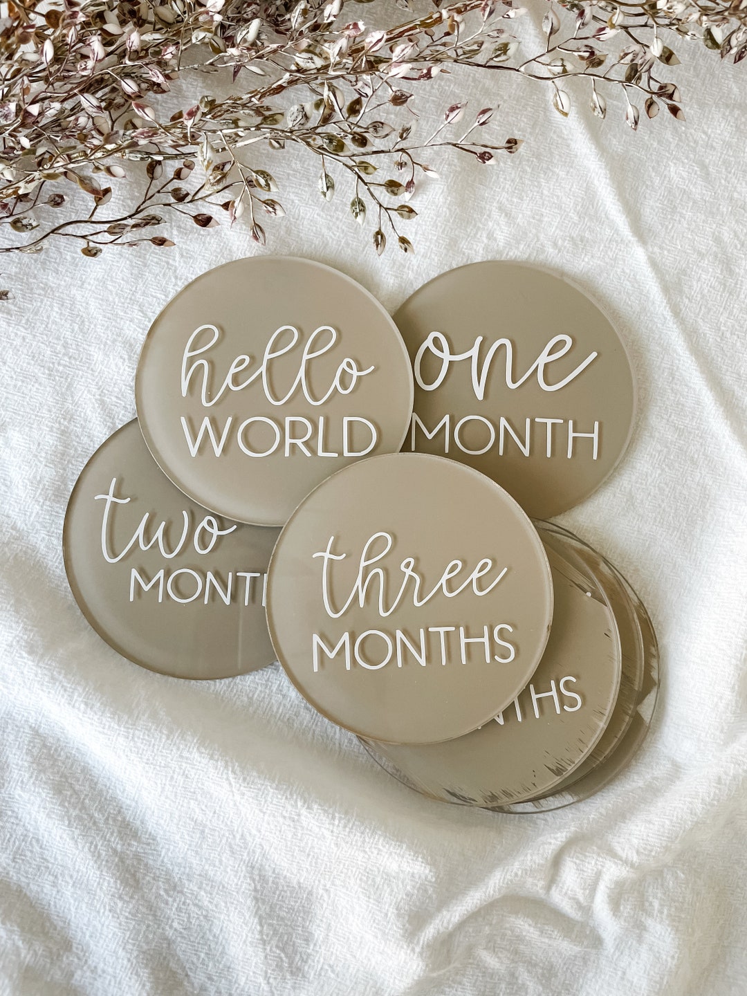 4" Acrylic Baby Monthly Milestone Signs - Etsy