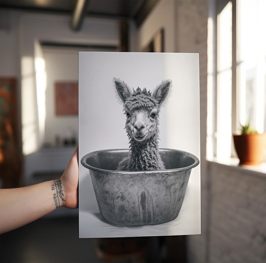 Playful Lama Bath Time Canvas Wall Art Print Animal-inspired Bathroom ...