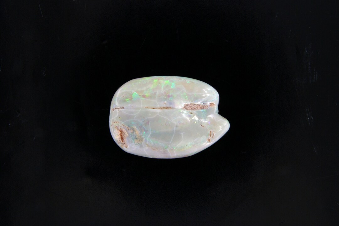 Opalized Shell Fossil Collector's Stone, Gift for Nature Lovers, Gift ...