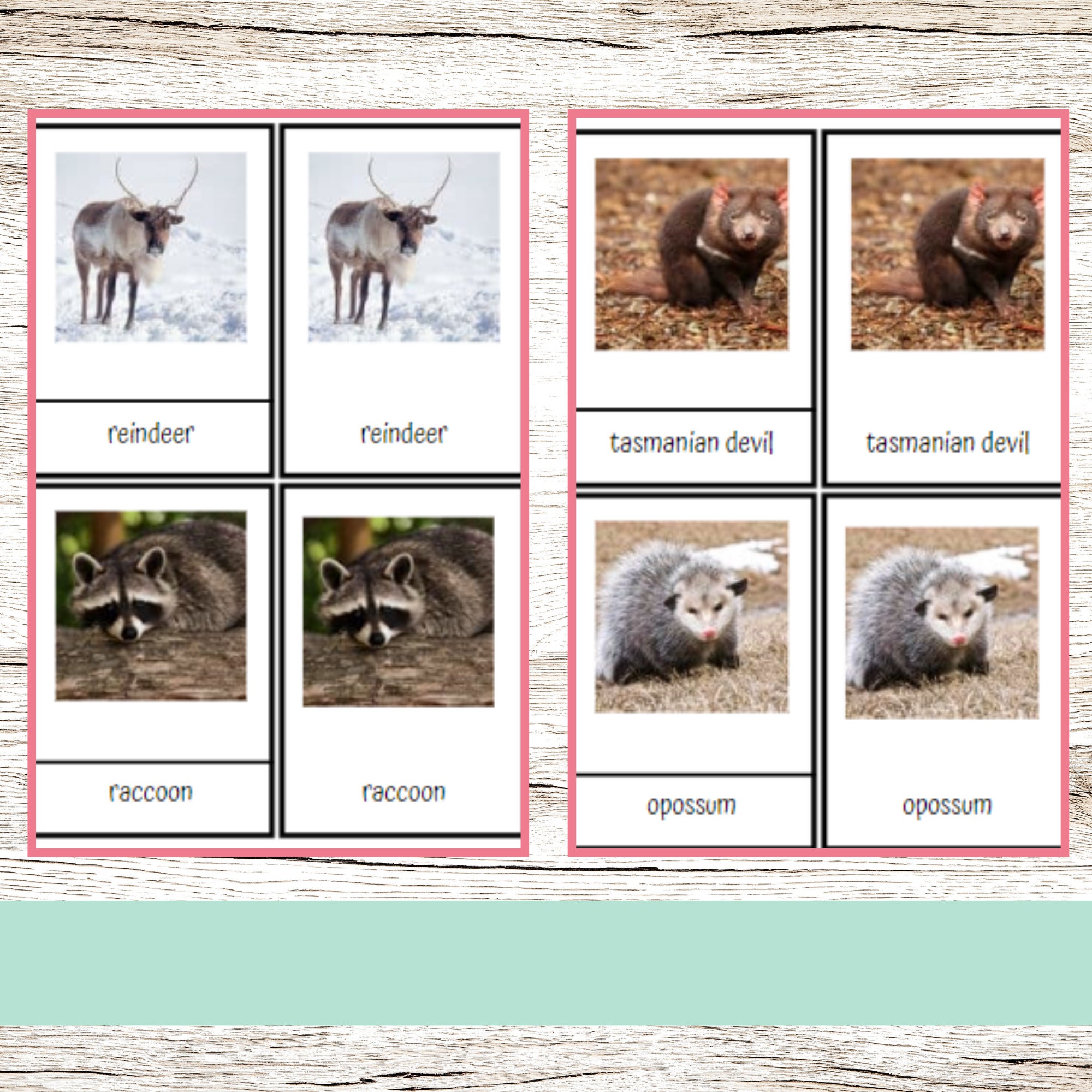 Animals World Montessori Cards, Animals Flash Cards, Three Part Cards ...