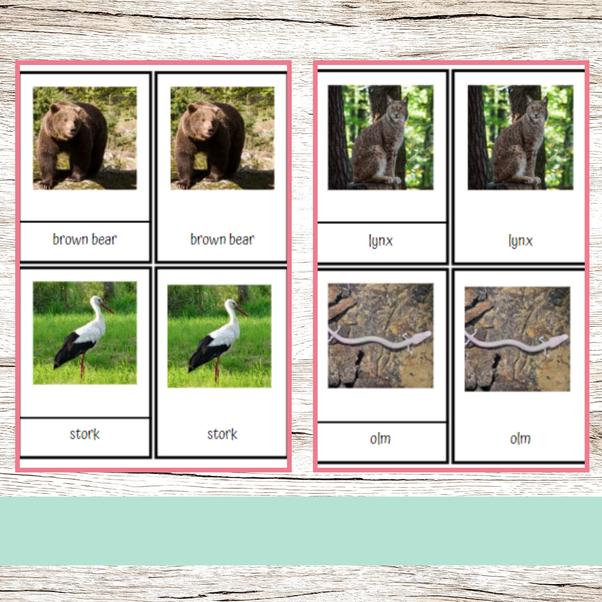 Animals World Montessori Cards, Animals Flash Cards, Three Part Cards ...