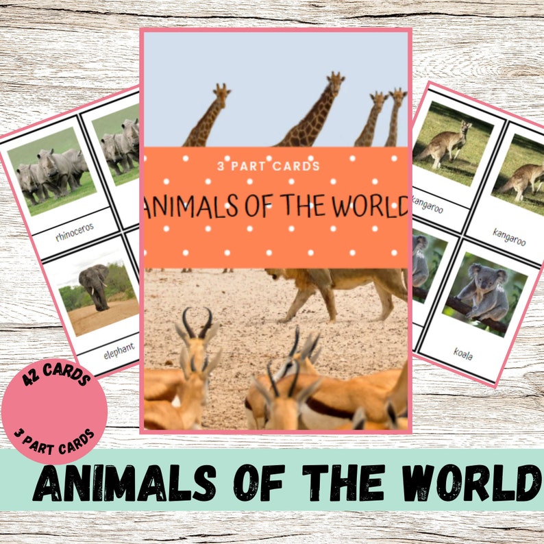 Animals World Montessori Cards, Animals Flash Cards, Three Part Cards ...