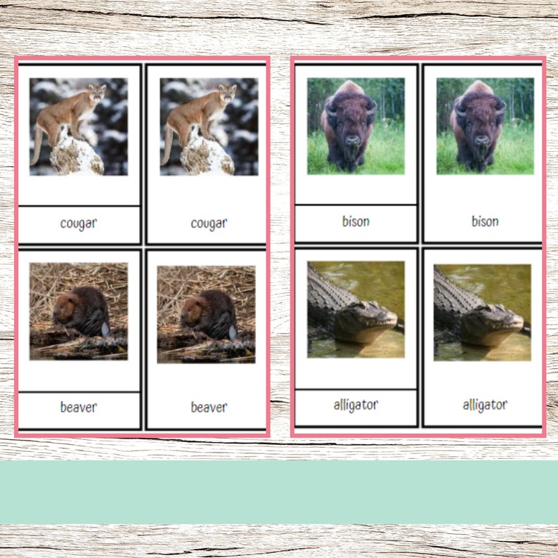 Animals World Montessori Cards, Animals Flash Cards, Three Part Cards ...