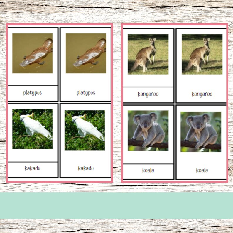 Animals World Montessori Cards, Animals Flash Cards, Three Part Cards ...