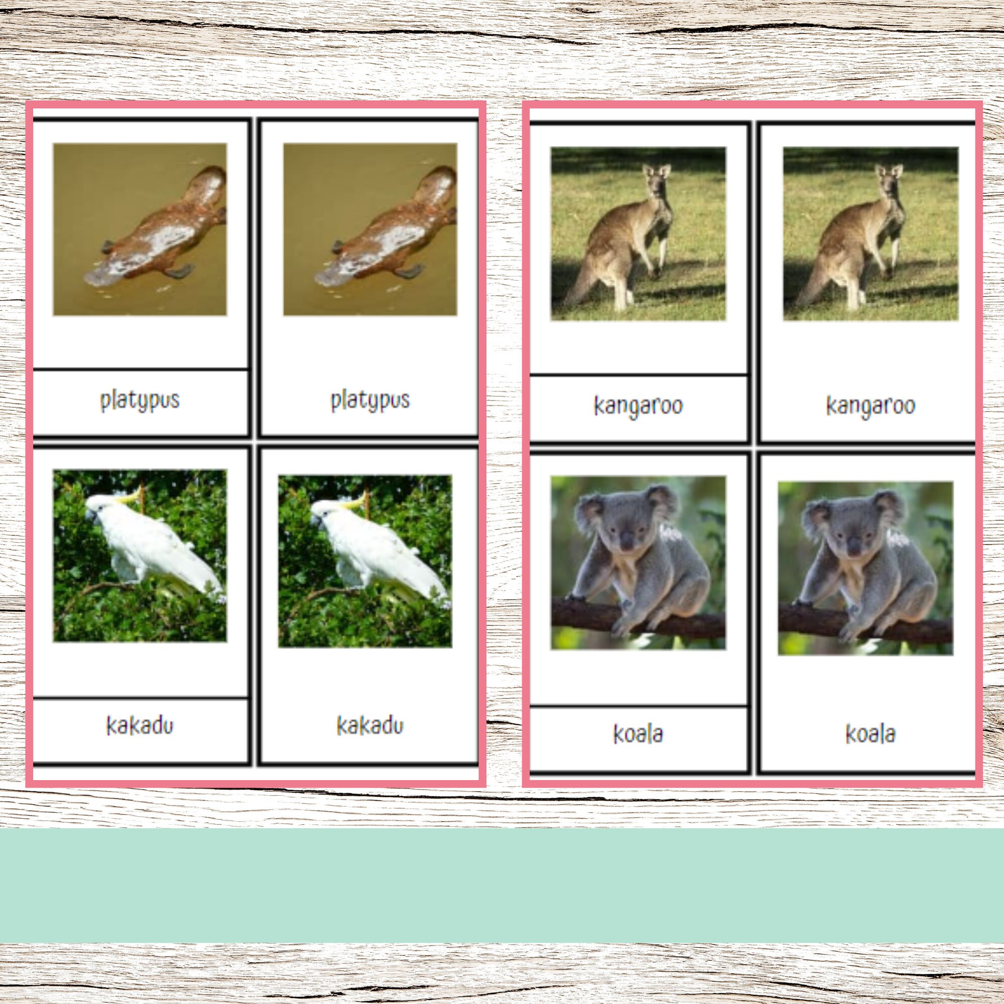 Animals World Montessori Cards, Animals Flash Cards, Three Part Cards ...