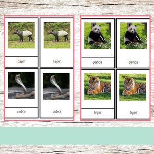 Animals World Montessori Cards, Animals Flash Cards, Three Part Cards ...