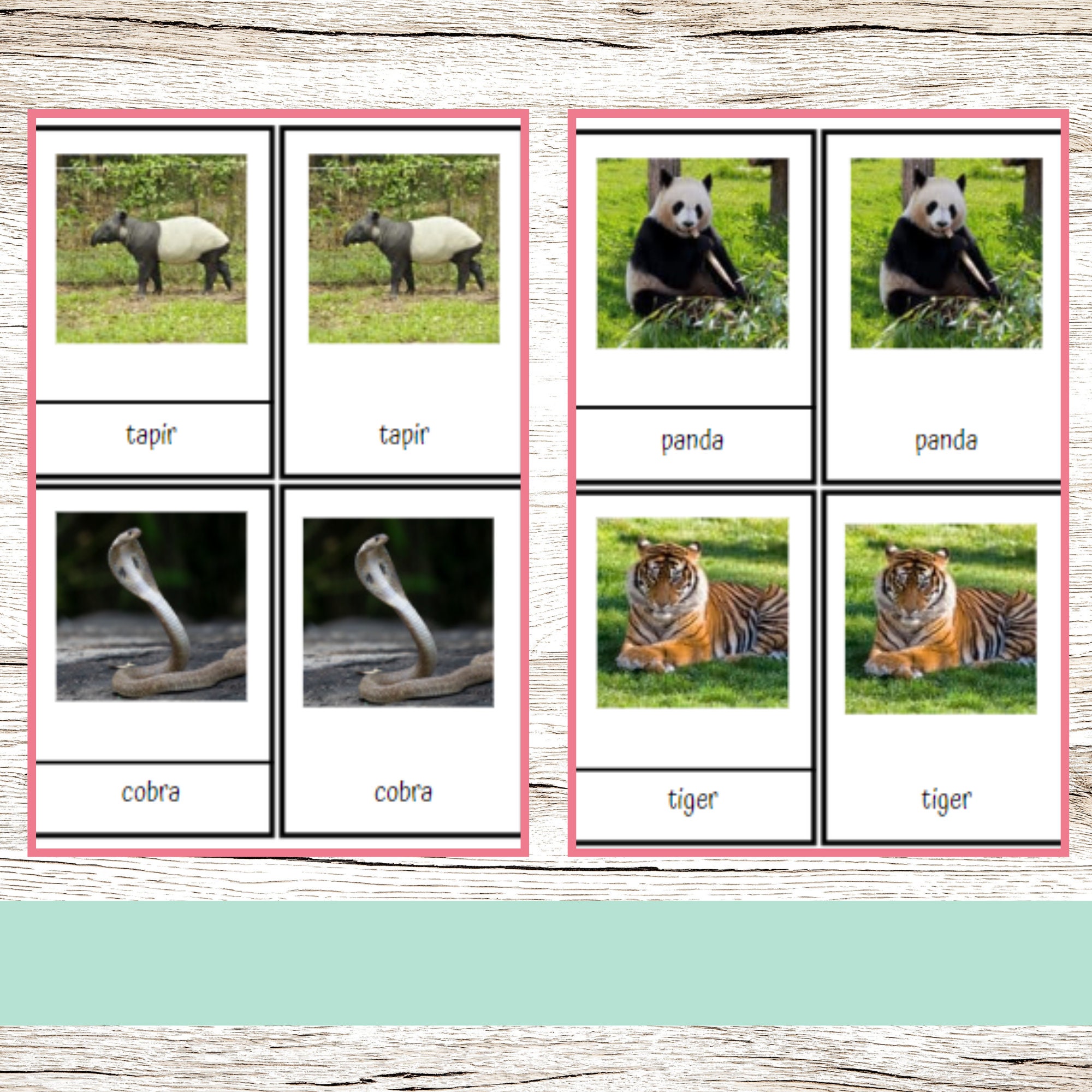 Animals World Montessori Cards, Animals Flash Cards, Three Part Cards ...