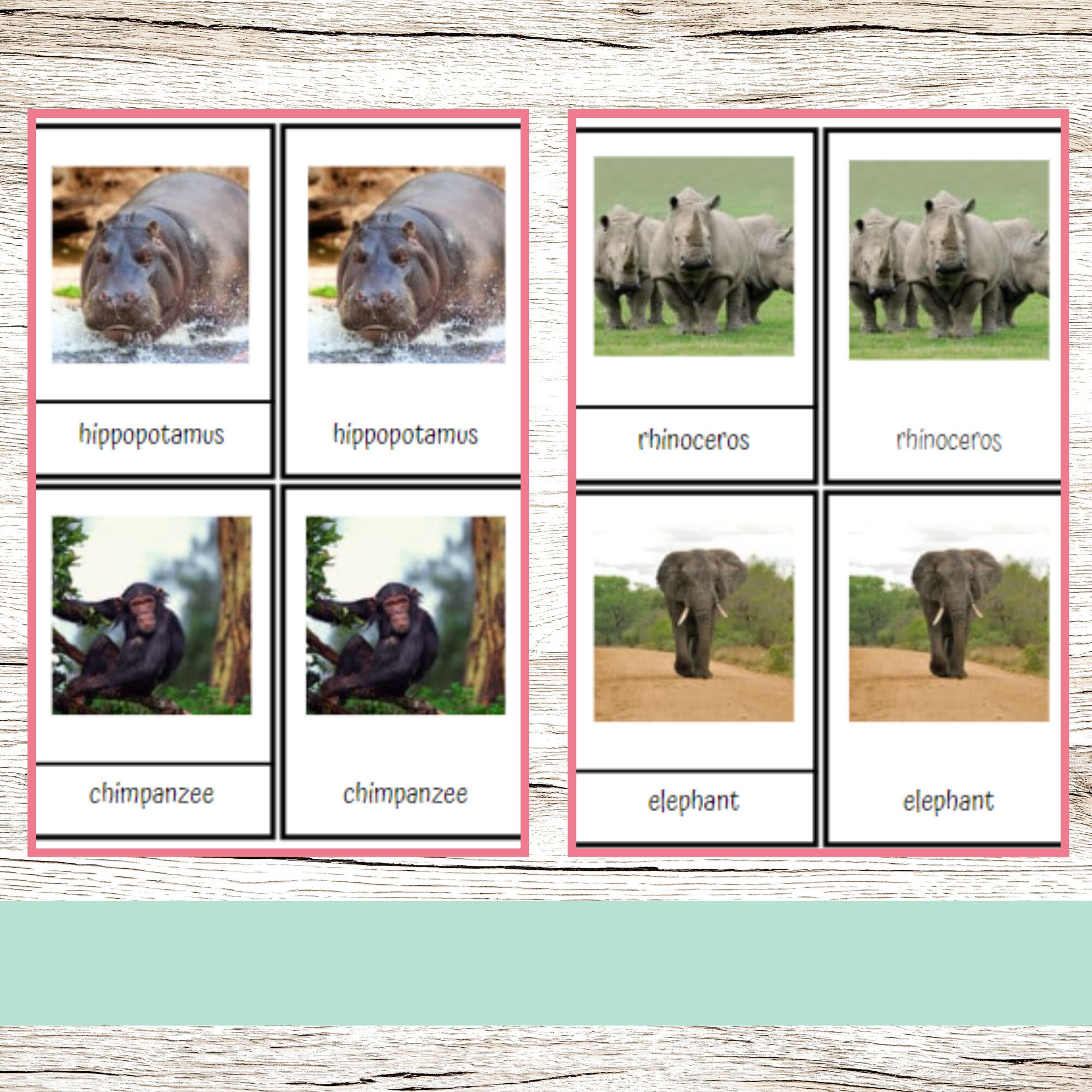 Animals World Montessori Cards, Animals Flash Cards, Three Part Cards ...