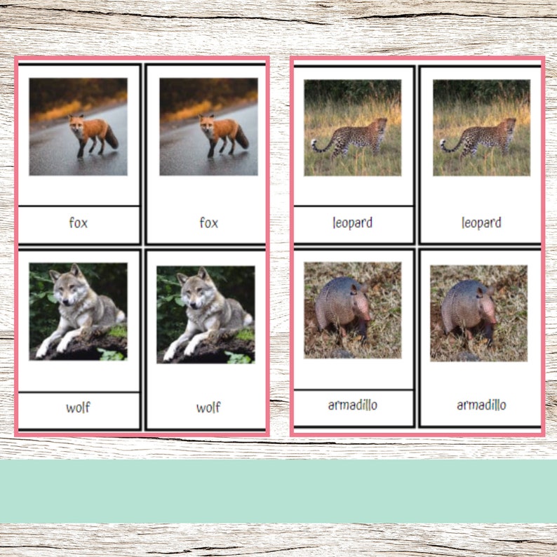 Animals World Montessori Cards, Animals Flash Cards, Three Part Cards ...