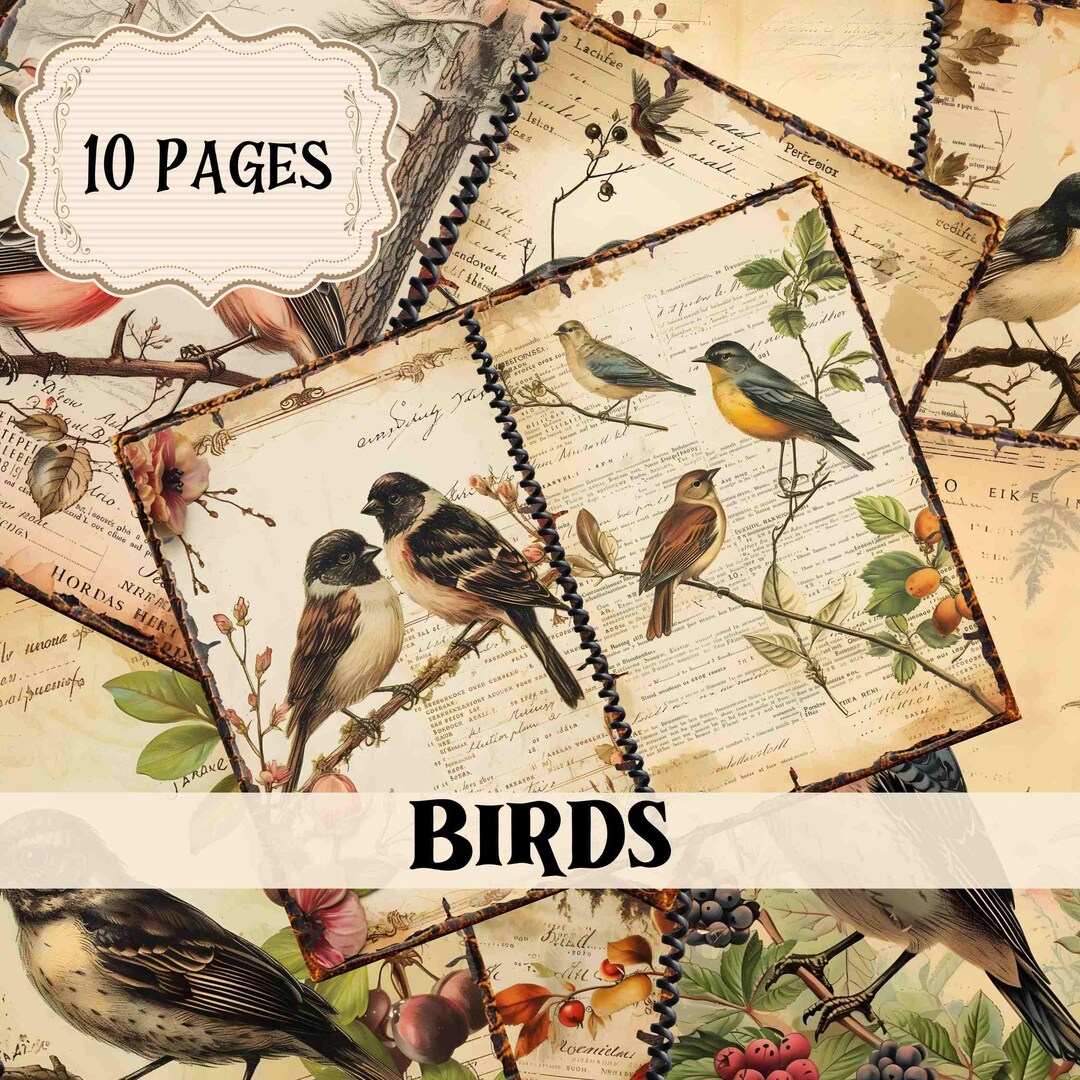 Vintage Birds Junk Journal Kit Birds Scrapbook Printable Backgrounds ...