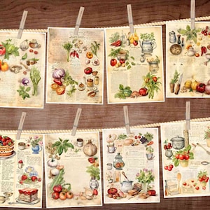 Vintage Cookbook Ephemera: Shabby Chic Cooking Pages (digital Paper Kit ...