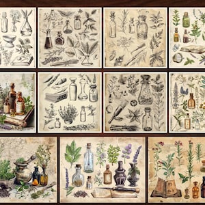 Apothecary Junk Journal Supplies Vintage Herbs Scrapbook Digital ...