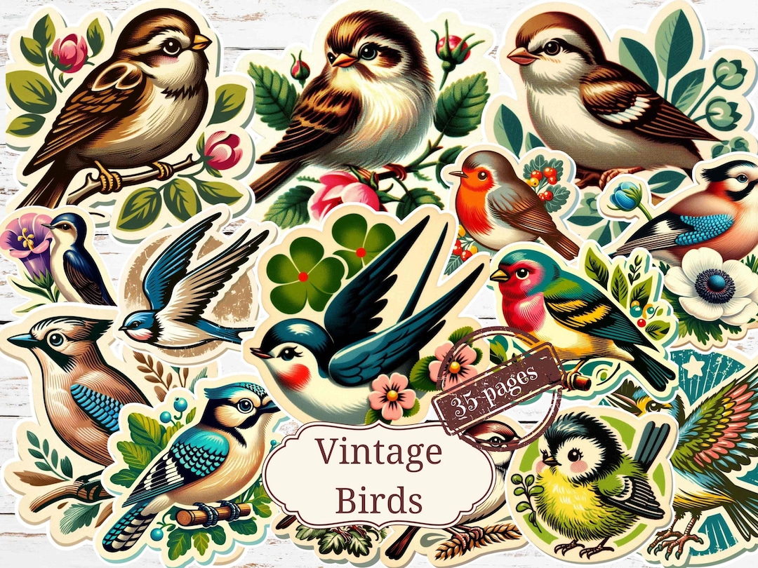 Vintage Birds Junk Journal Kit: Shabby Chic Scrapbook (digital Download ...