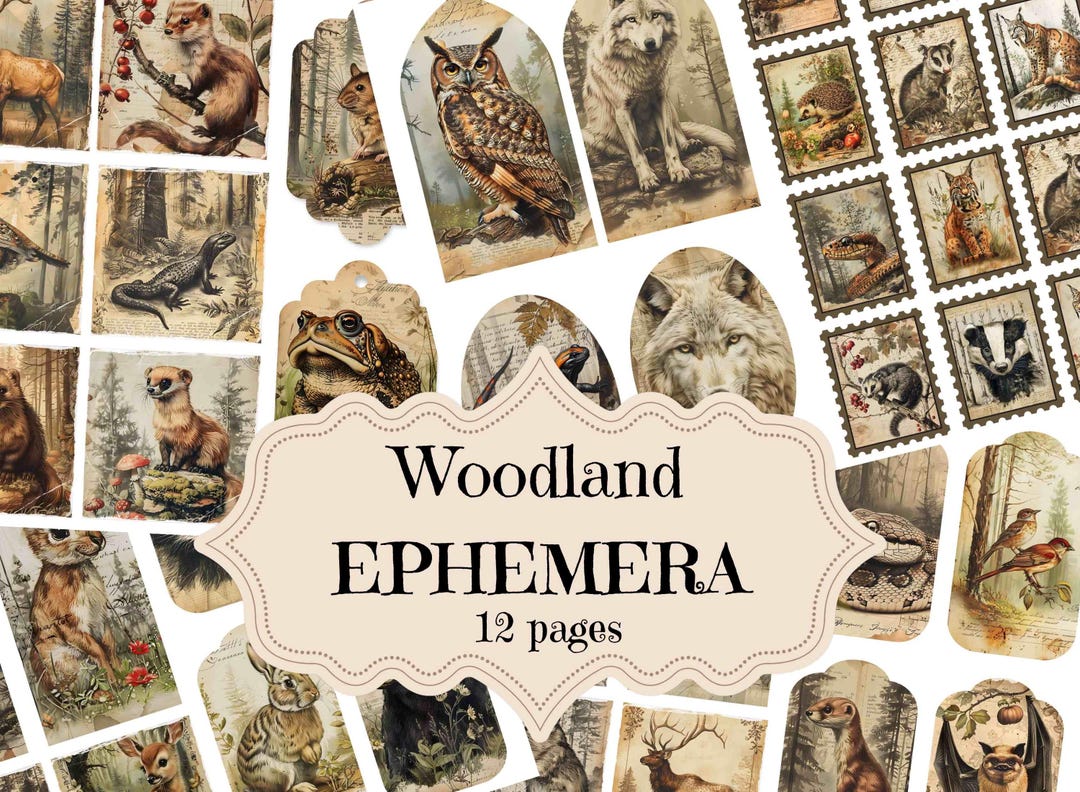Woodland Animals Ephemera: Vintage Birds, Shabby Chic Tags (digital ...