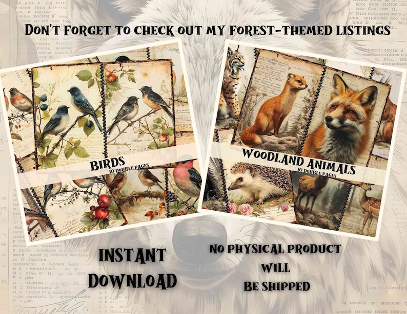 Woodland Animals Ephemera: Vintage Birds, Shabby Chic Tags (digital ...