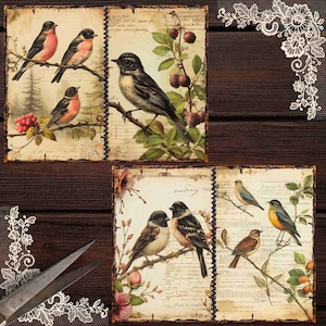 Vintage Birds Junk Journal Kit Birds Scrapbook Printable Backgrounds ...