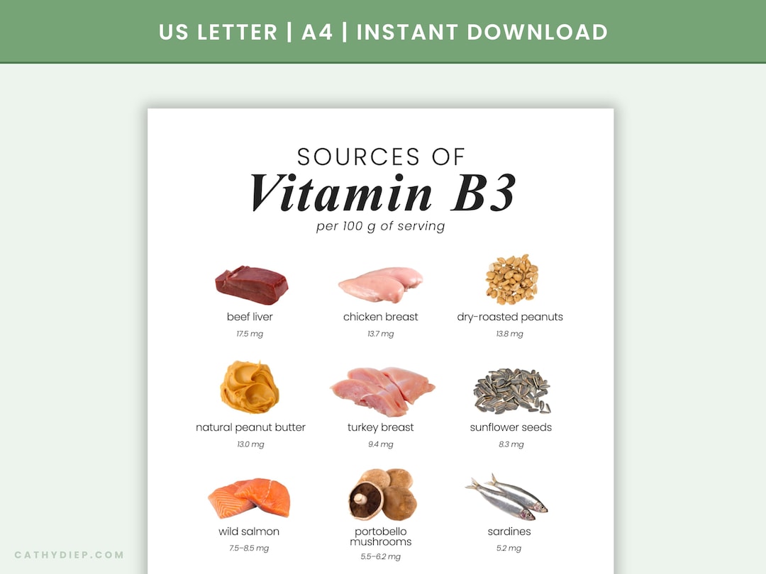 Vitamin B3 Food Chart Printable | High-niacin Foods | Instant Download ...