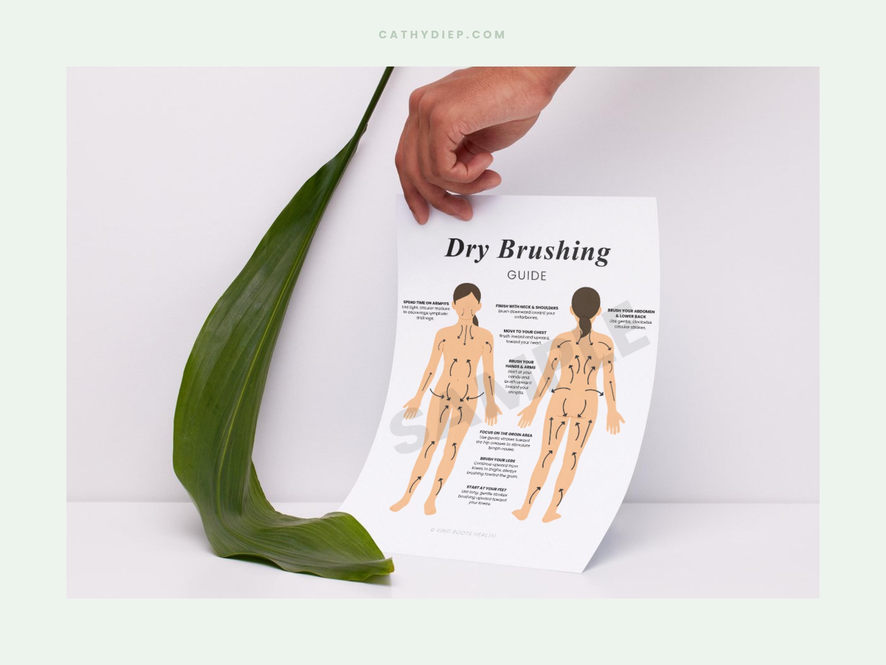 Dry Brushing Guide Printable | Lymphatic Drainage Chart | Dry Brush ...