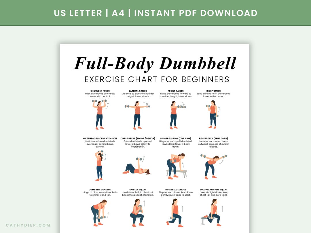 Dumbbell Exercise Chart | Full-body Workout for Beginners (PDF) - Etsy