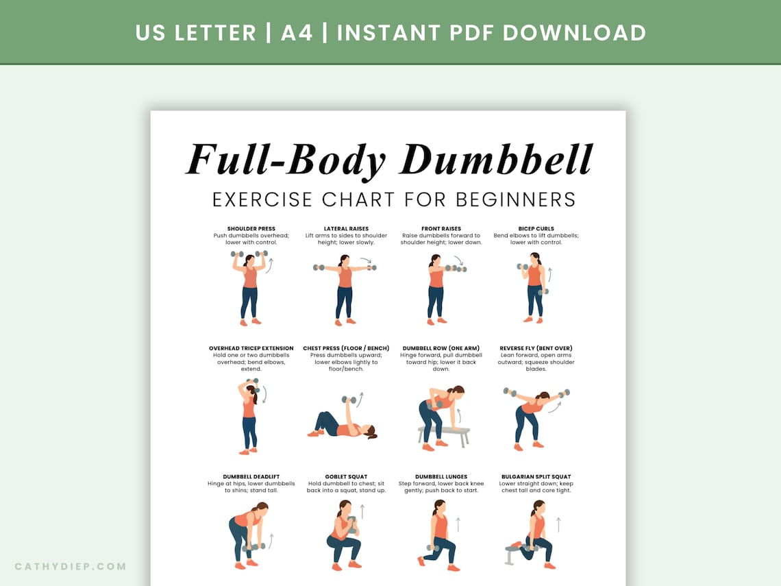 Dumbbell Exercise Chart | Full-body Workout for Beginners (PDF) - Etsy