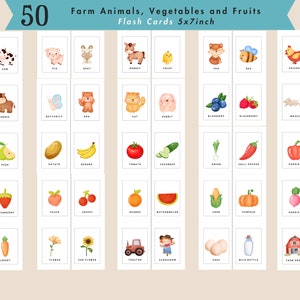 Farm Animals, Vegetables, Fruits Flash Cards, Preschool Educational ...