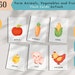 Farm Animals, Vegetables, Fruits Flash Cards, Preschool Educational ...