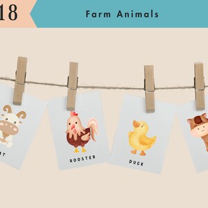 Farm Animals, Vegetables, Fruits Flash Cards, Preschool Educational ...