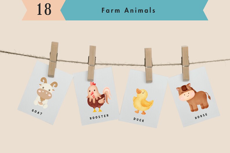 Farm Animals, Vegetables, Fruits Flash Cards, Preschool Educational ...