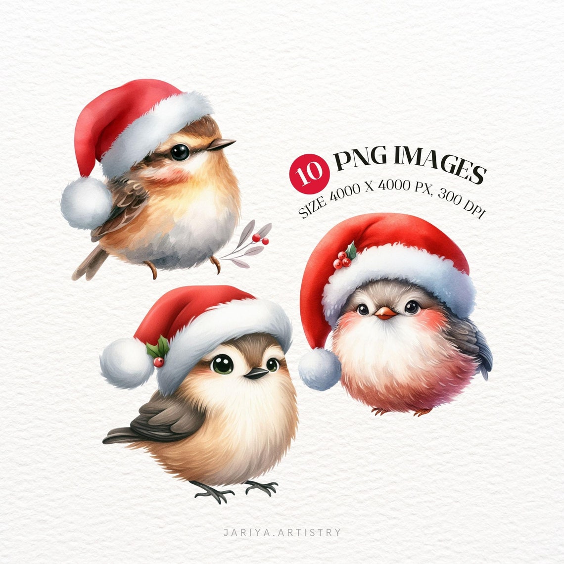 Watercolor Bird Santa Clipart Bundle (digital Download) - Etsy