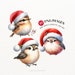Watercolor Bird Santa Clipart Bundle (digital Download) - Etsy