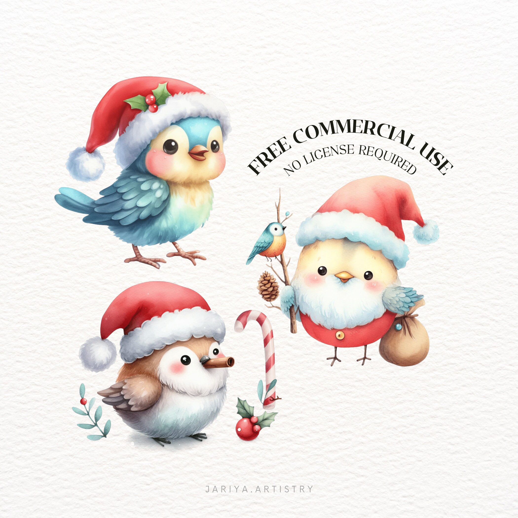 Bird Santa Clipart Bundle, Bird Santa Clipart PNG, Bird Santa Designs ...