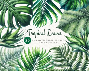 Watercolor Tropical Leaves Clipart, Monstera Leaves and Lush Tropical ...
