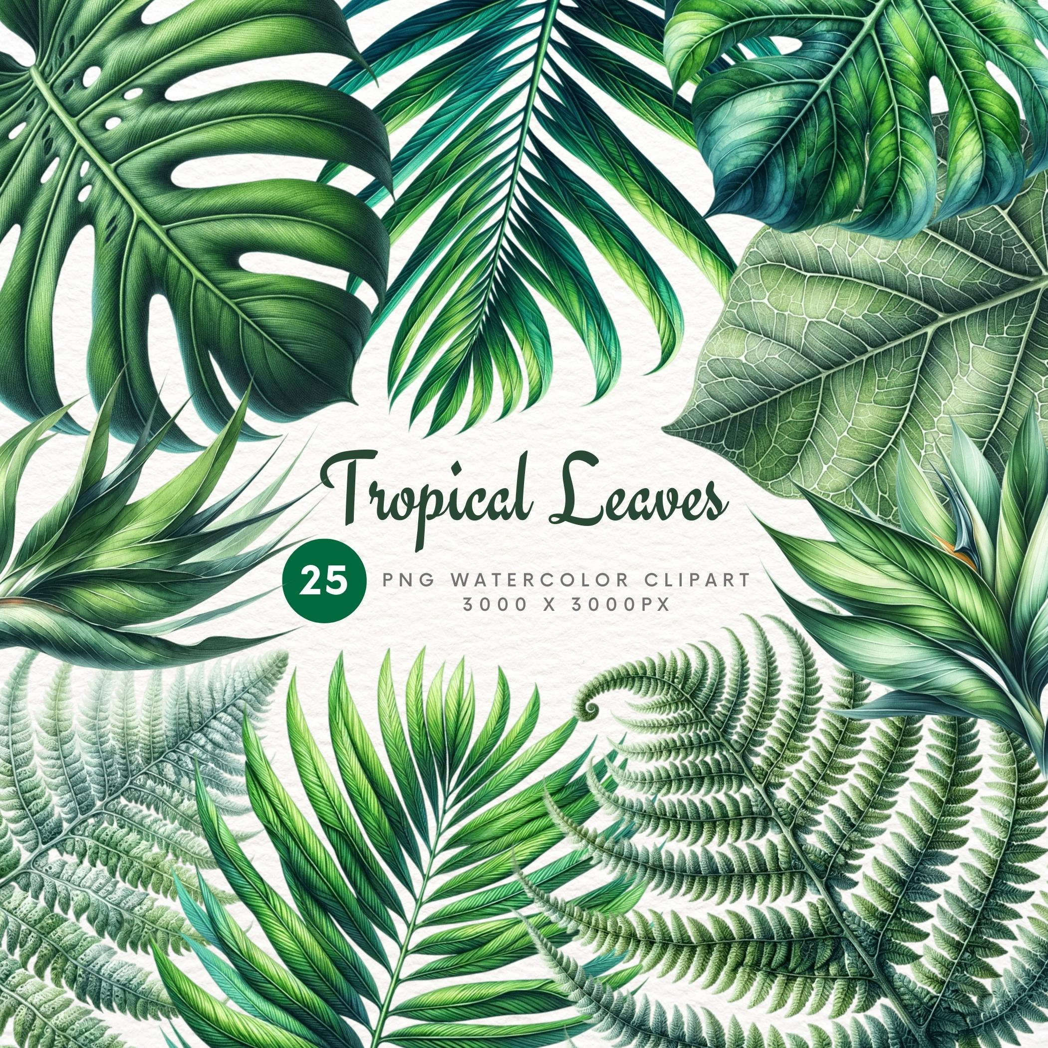 Tropical Leaves Clipart Bundle - Lush Greenery Watercolor PNG, Instant ...
