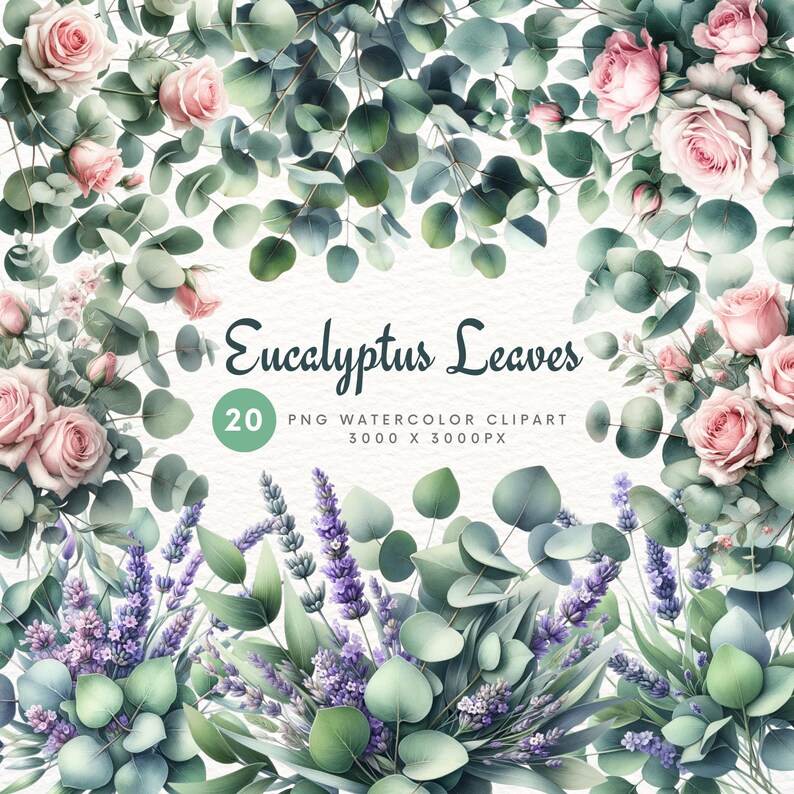 Watercolor Eucalyptus Clipart Bundle, Eucalyptus PNG, Floral Watercolor ...