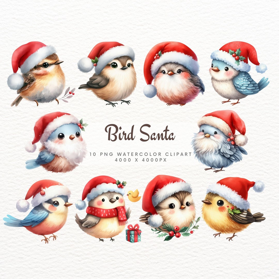 Watercolor Bird Santa Clipart Bundle (digital Download) - Etsy