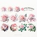 Watercolor Pink Rose Clipart Bundle, Pink Floral PNG, Pink Rose ...