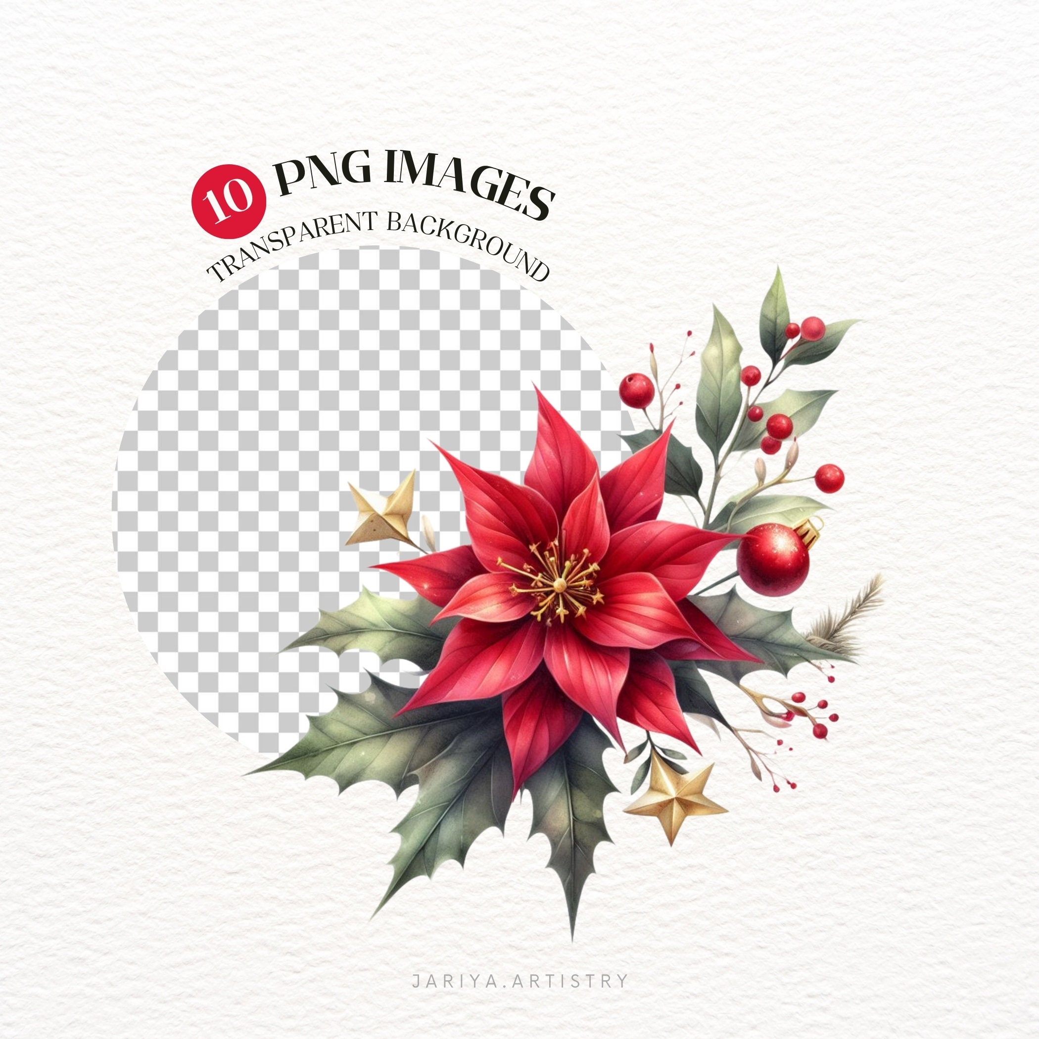 Christmas Flowers Clipart Bundle, Christmas Flowers Clipart PNG ...