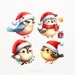 Watercolor Bird Santa Clipart Bundle, Bird Santa Clipart PNG, Bird ...