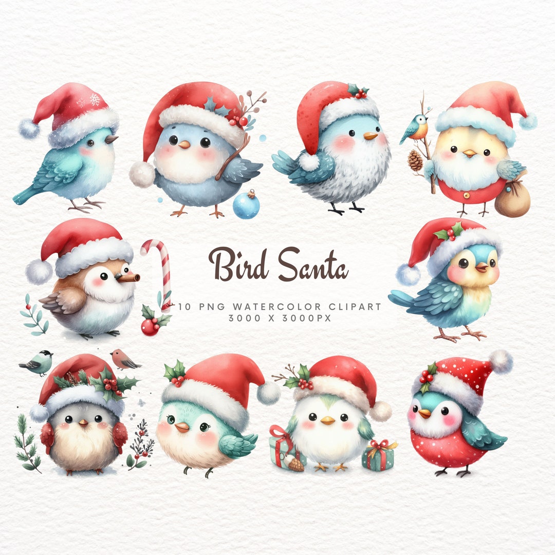 Bird Santa Clipart Bundle, Bird Santa Clipart PNG, Bird Santa Designs ...