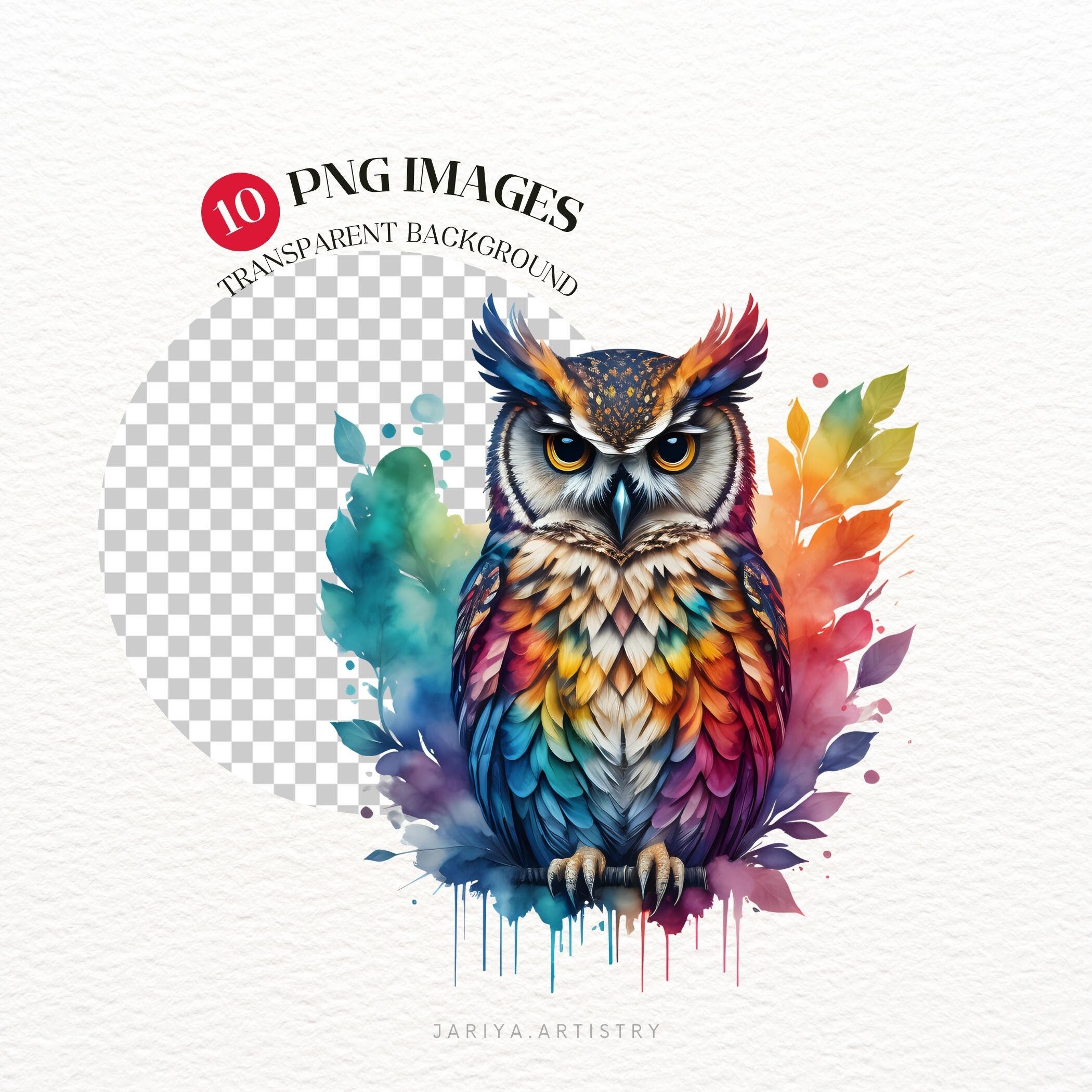 Magic Owl Clipart Bundle, Magic Owl Clipart PNG, Magic Owl Designs ...