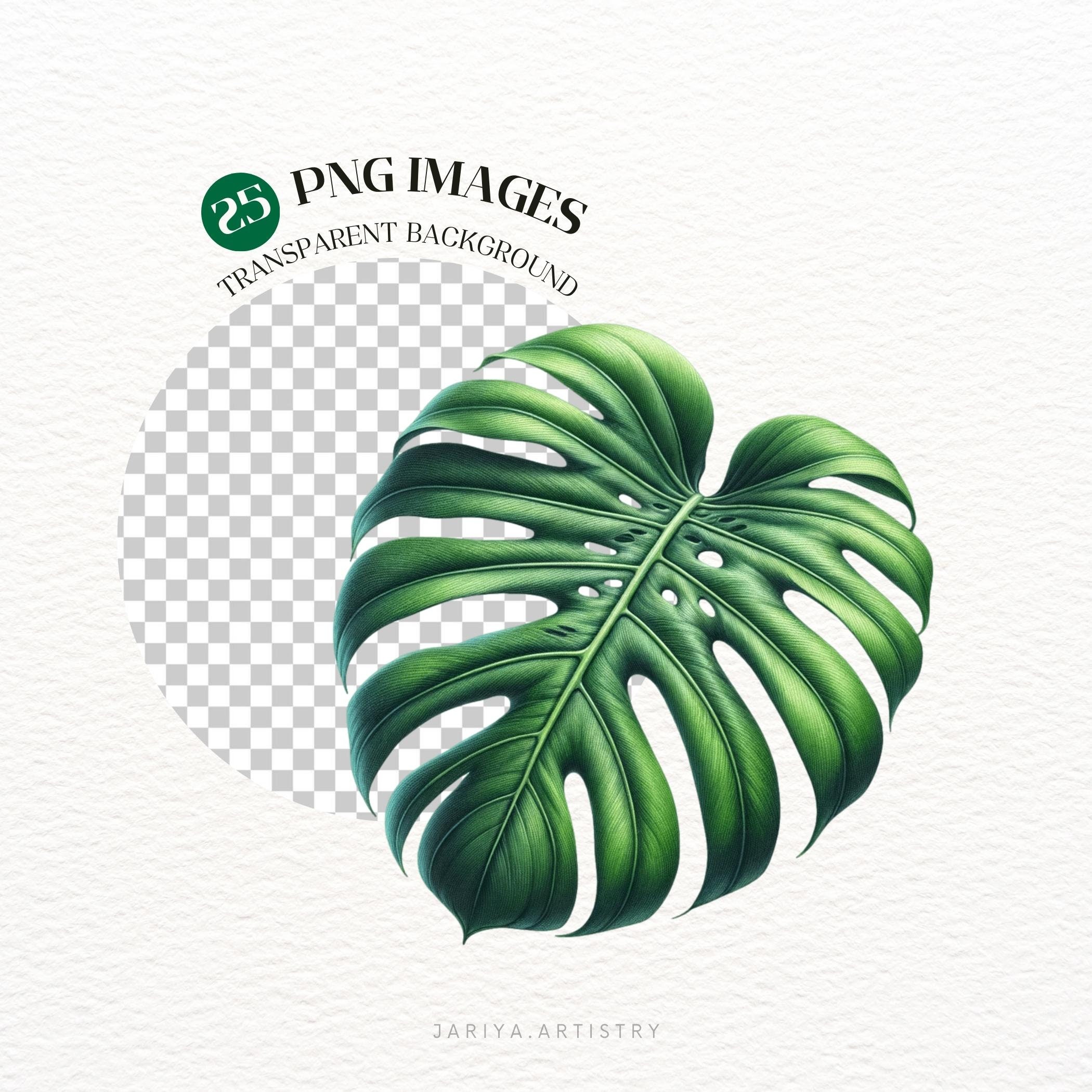Tropical Leaves Clipart Bundle - Lush Greenery Watercolor PNG, Instant ...