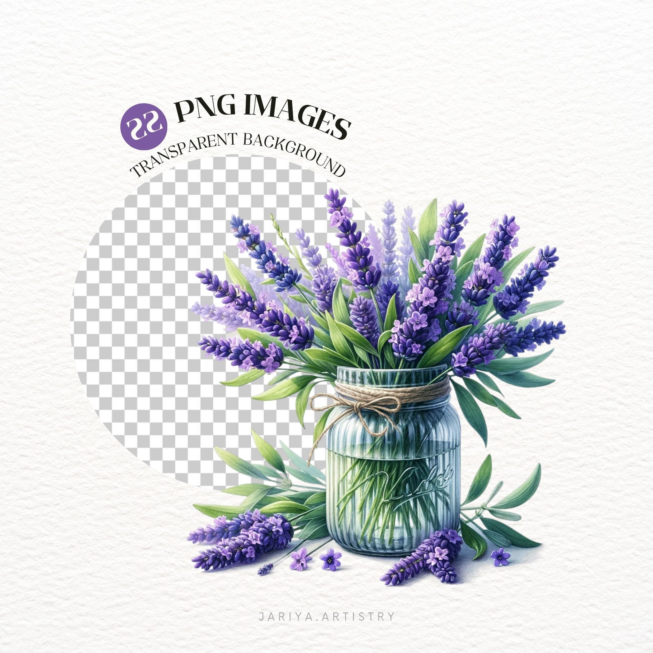Watercolor Lavender Clipart Bundle: Floral PNG (commercial Use ...