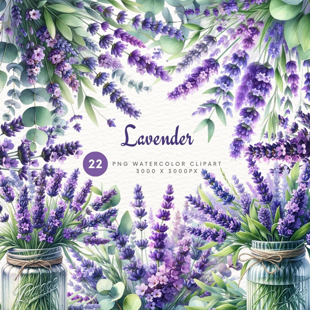Watercolor Lavender Clipart Bundle: Floral PNG (commercial Use ...