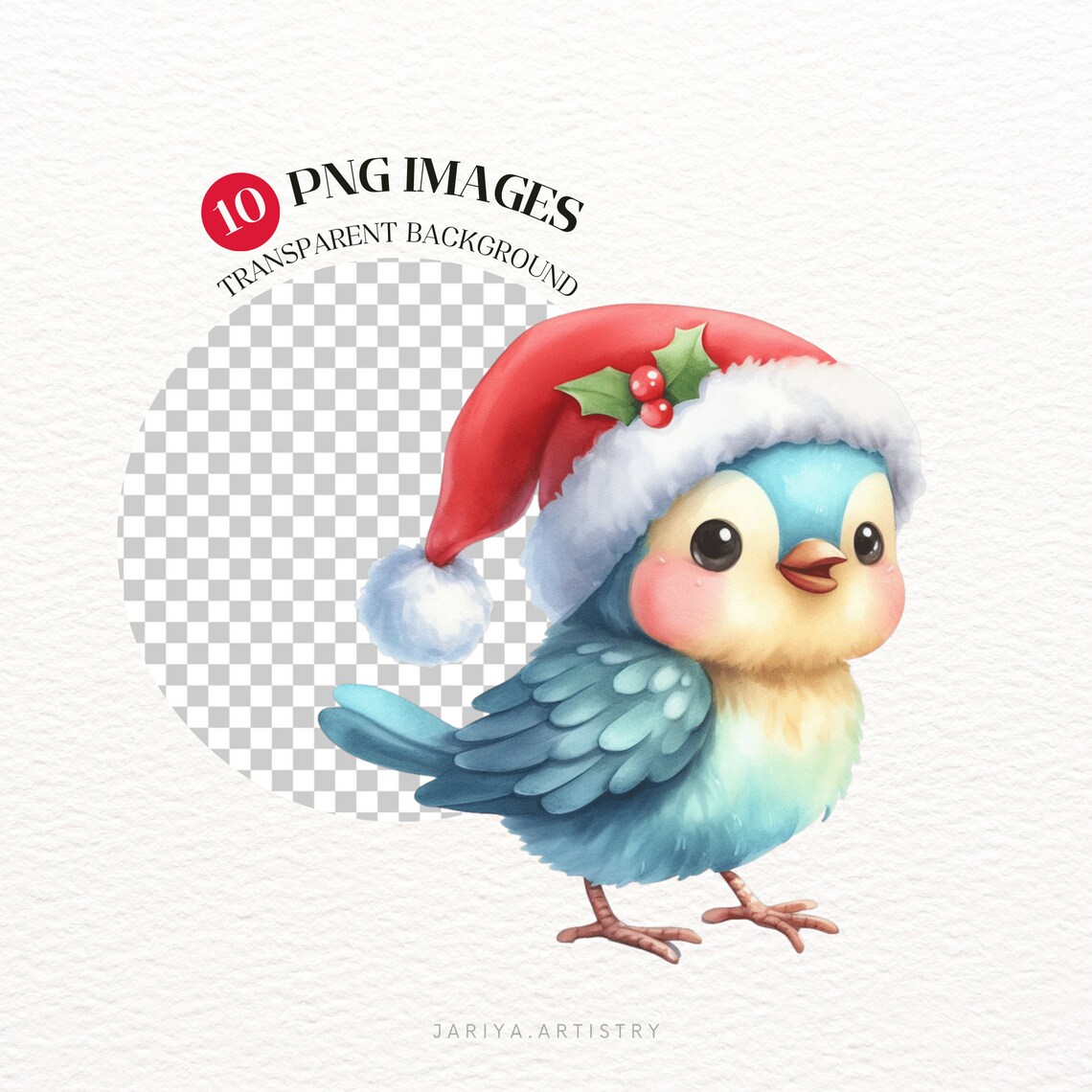Bird Santa Clipart Bundle, Bird Santa Clipart PNG, Bird Santa Designs ...