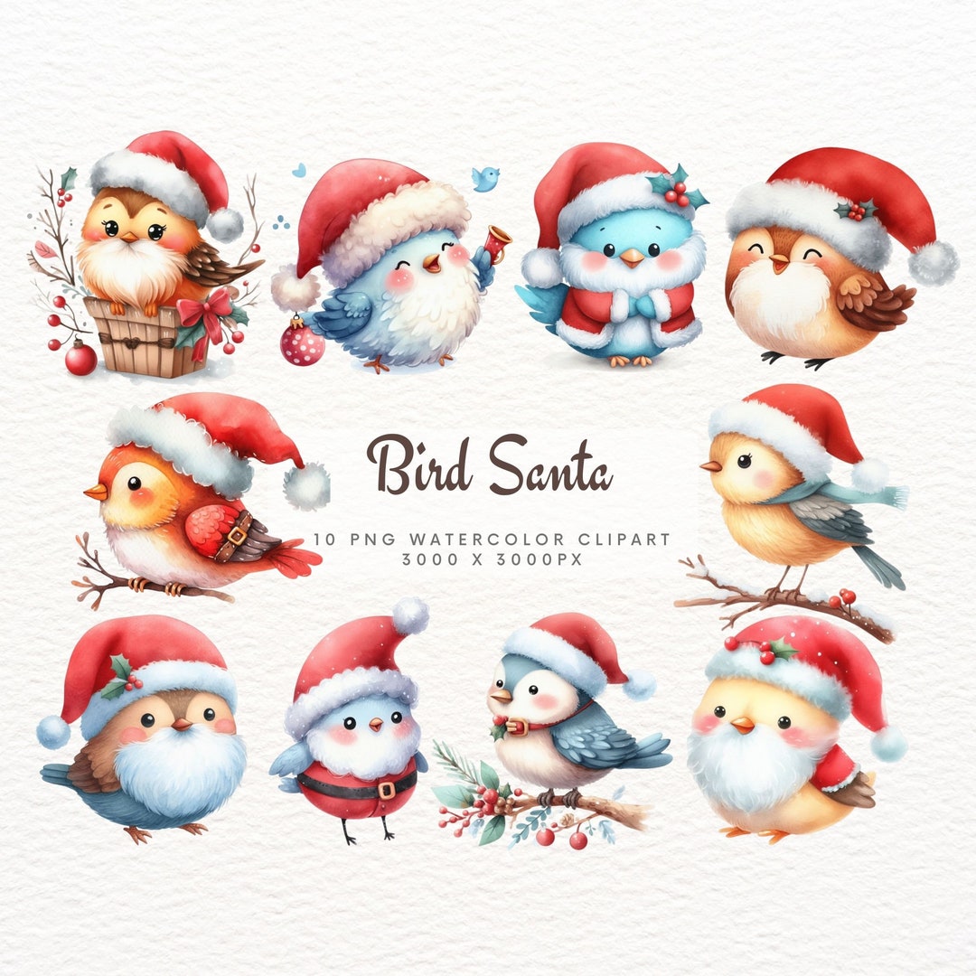 Cute Bird Santa Clipart, Bird Santa Clipart PNG, Bird Santa Designs ...