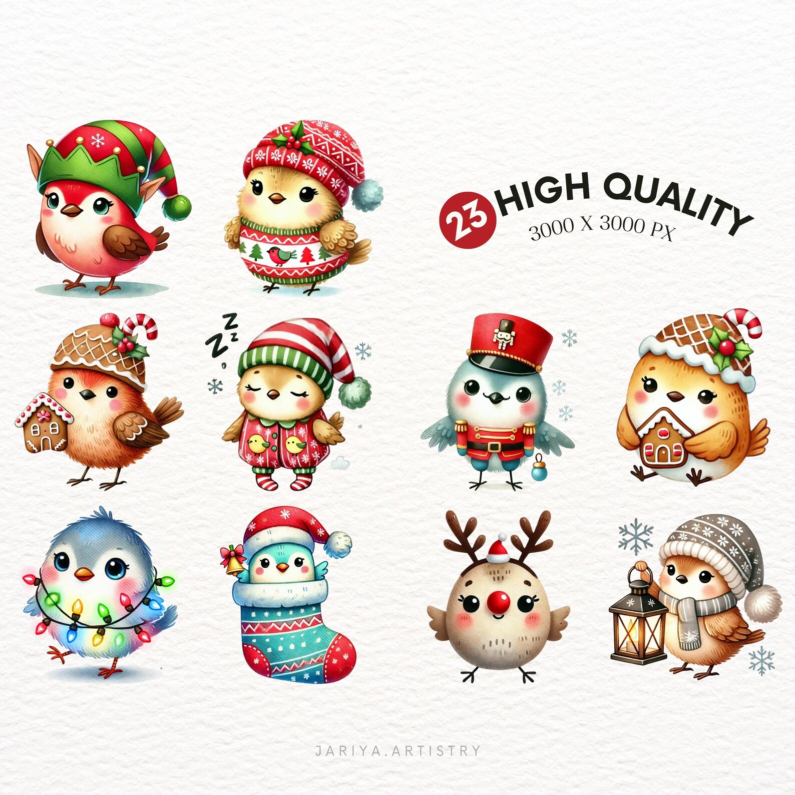 Christmas Bird Clipart Collection Perfect for Seasonal Decorating, DIY ...