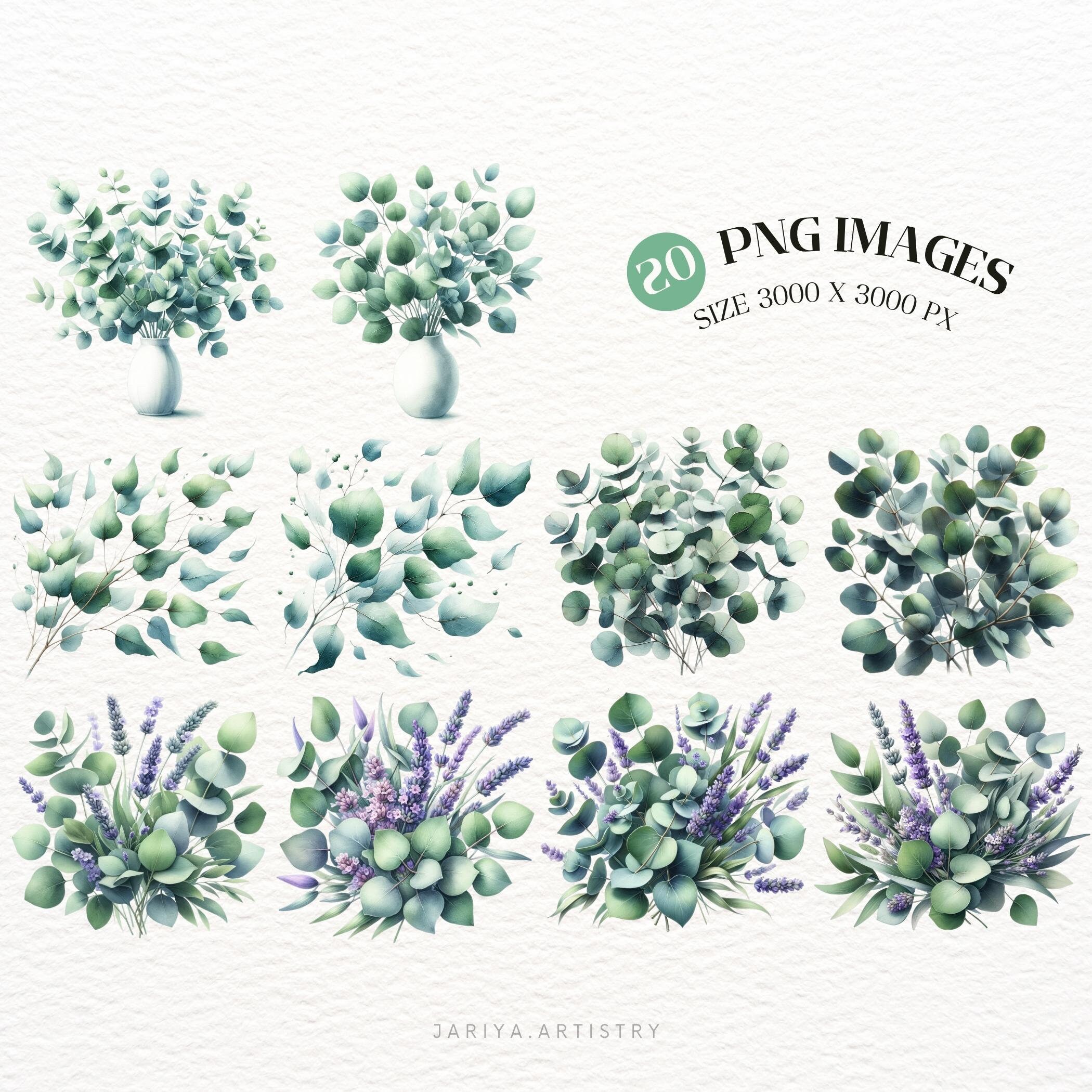Watercolor Eucalyptus Clipart Bundle, Eucalyptus PNG, Floral Watercolor ...